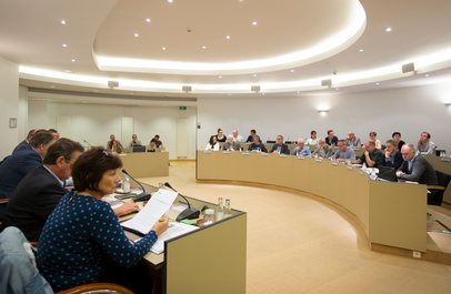 Politiek bestuur | VVSG