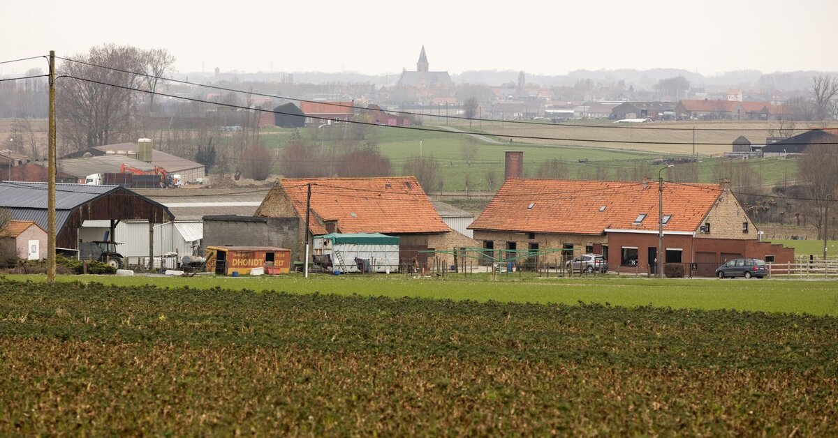Landbouwgrond van lokale overheden: meer mogelijkheden en autonomie ...